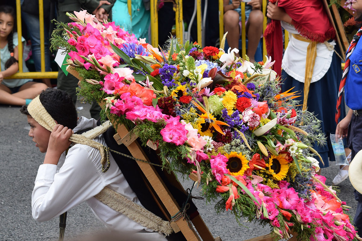 Feria de las Flores Review - Grading Gardens