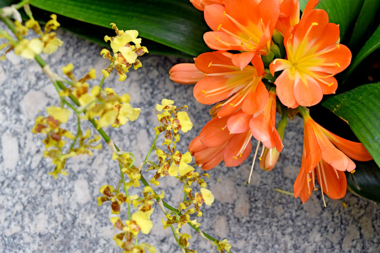 Rawlings Conservatory Review - Grading Gardens