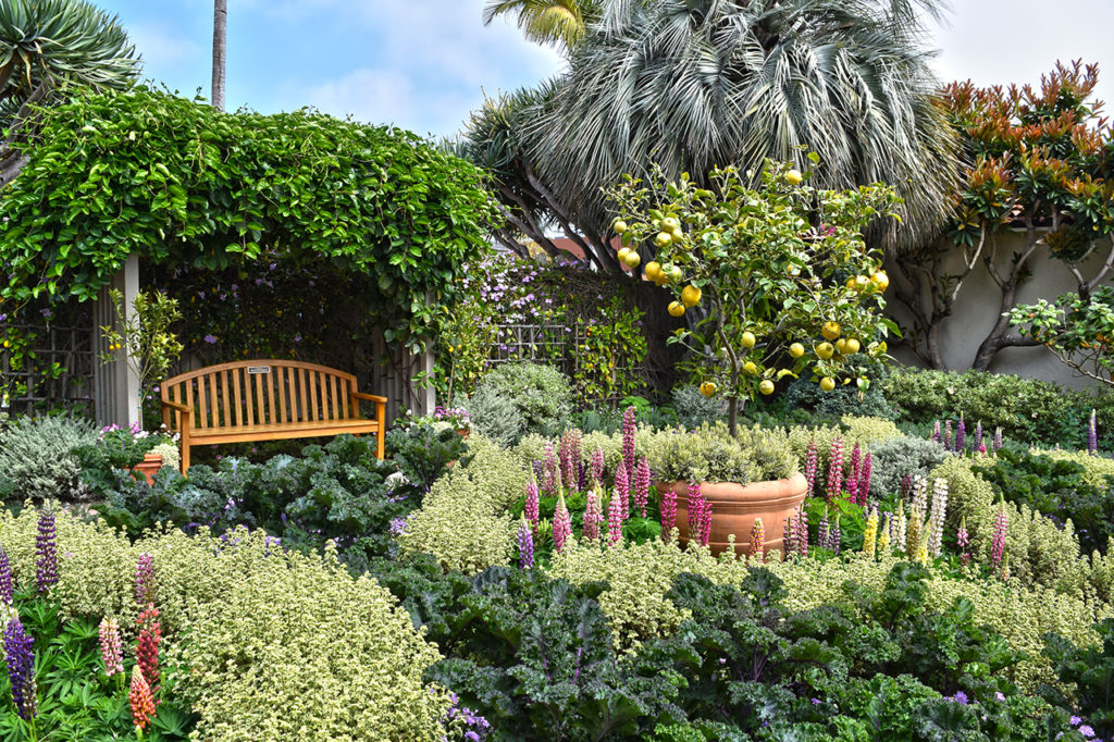 Sherman Library & Gardens Review - Grading Gardens