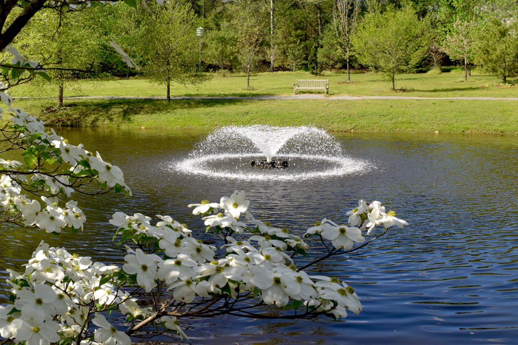 Green Spring Gardens Review - Grading Gardens