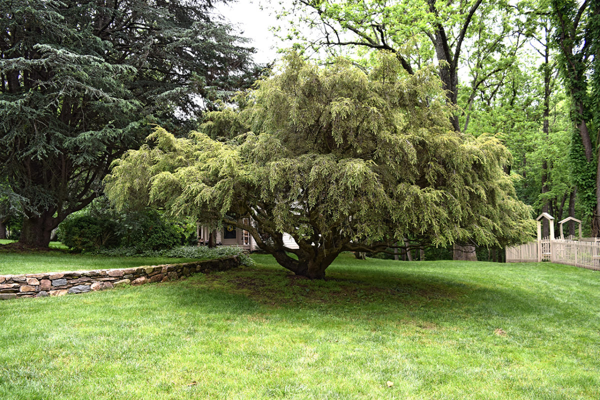 Sandy Spring Museum Garden Club Tour Review - Grading Gardens