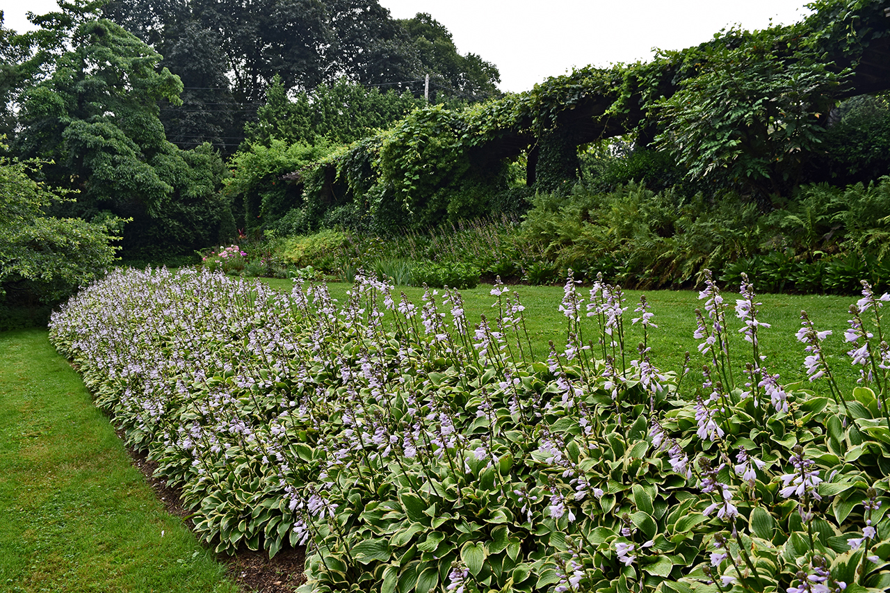 Wave Hill Review - Grading Gardens