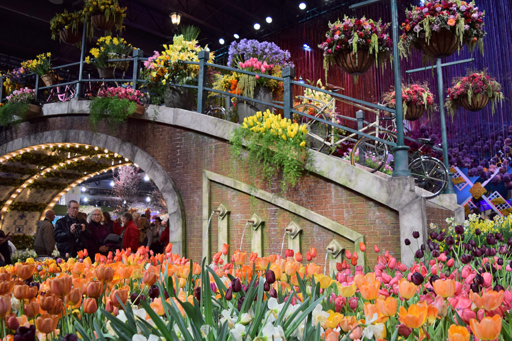 Philadelphia Flower Show 2017 Review - Grading Gardens