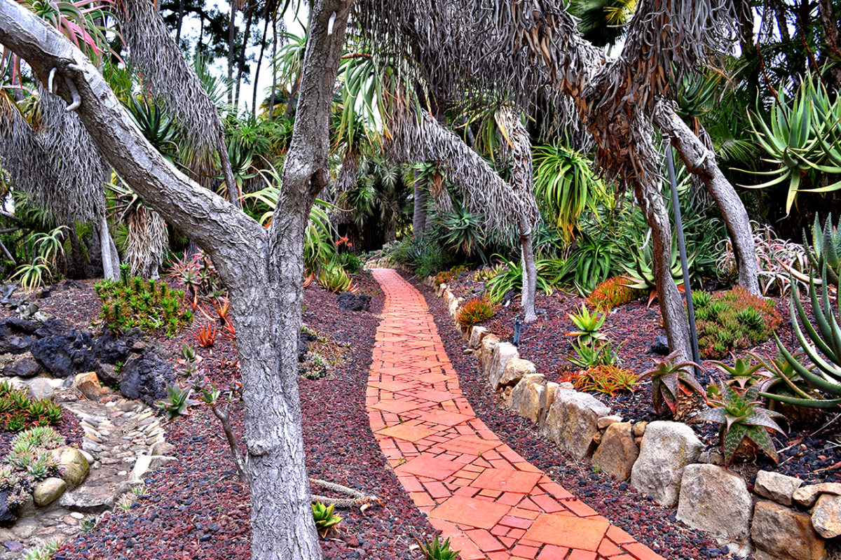 Lotusland Review - Grading Gardens