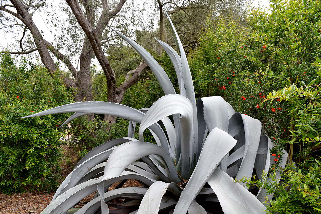 Lotusland Review - Grading Gardens