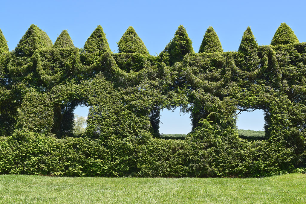 Ladew Topiary Gardens Review - Grading Gardens