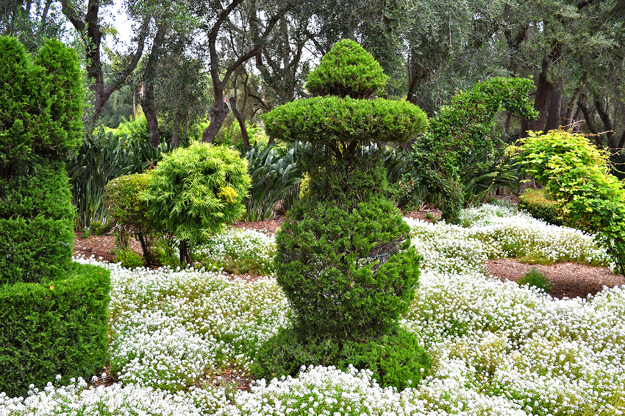 Lotusland Review - Grading Gardens