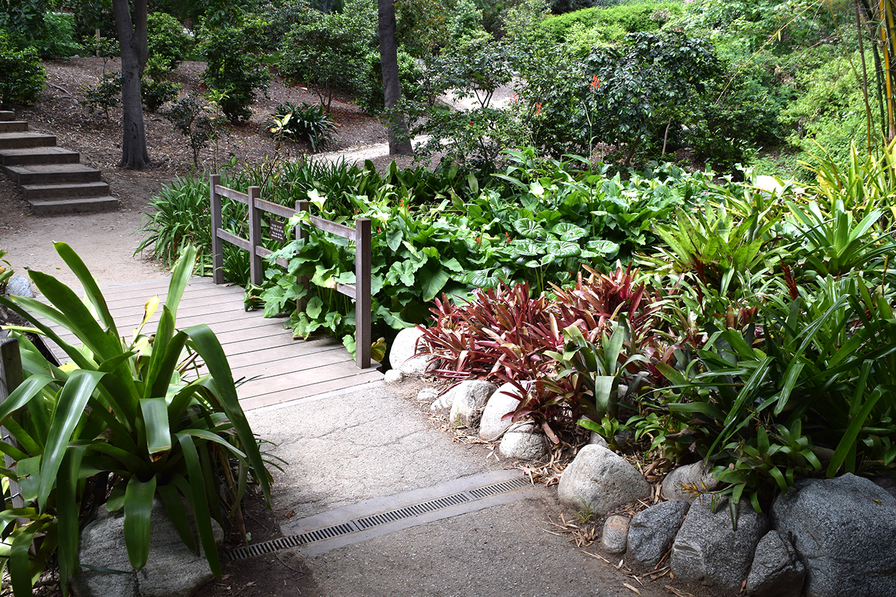Mildred E. Mathias Botanical Garden Review - Grading Gardens