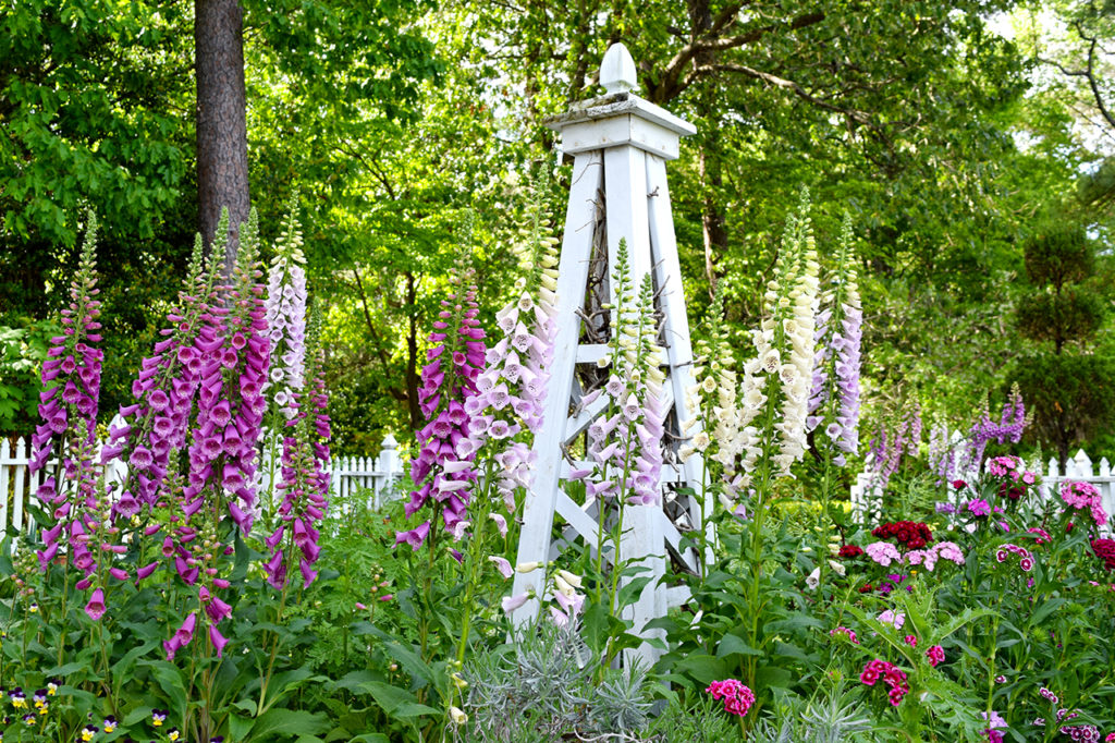 Norfolk Botanical Gardens Review - Grading Gardens